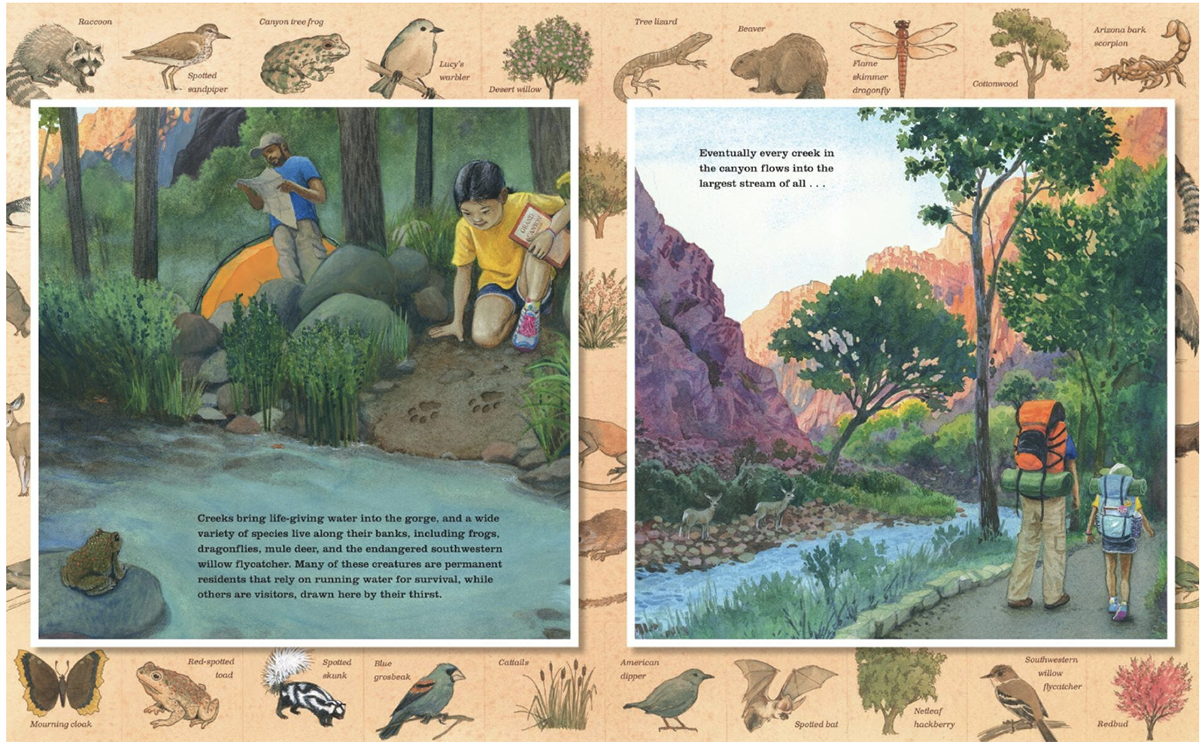 Today’s book recommendation: GRAND CANYON by Jason Chin – Nonfiction ...