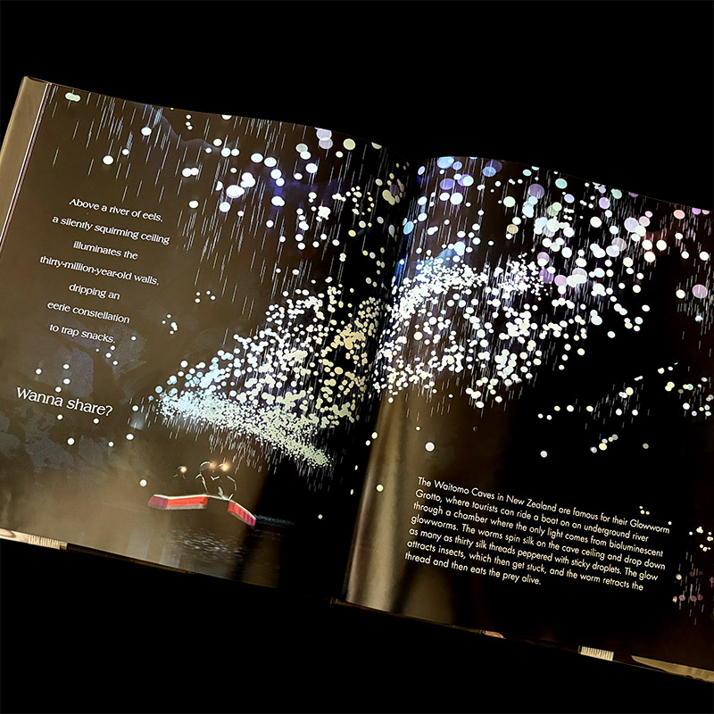 Today’s book recommendation: CAVES by Nell Cross Beckerman – Nonfiction ...